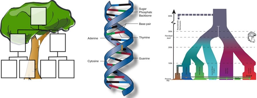 Genes, Genealogies, and the Construction of Identity – Lisa Gannett